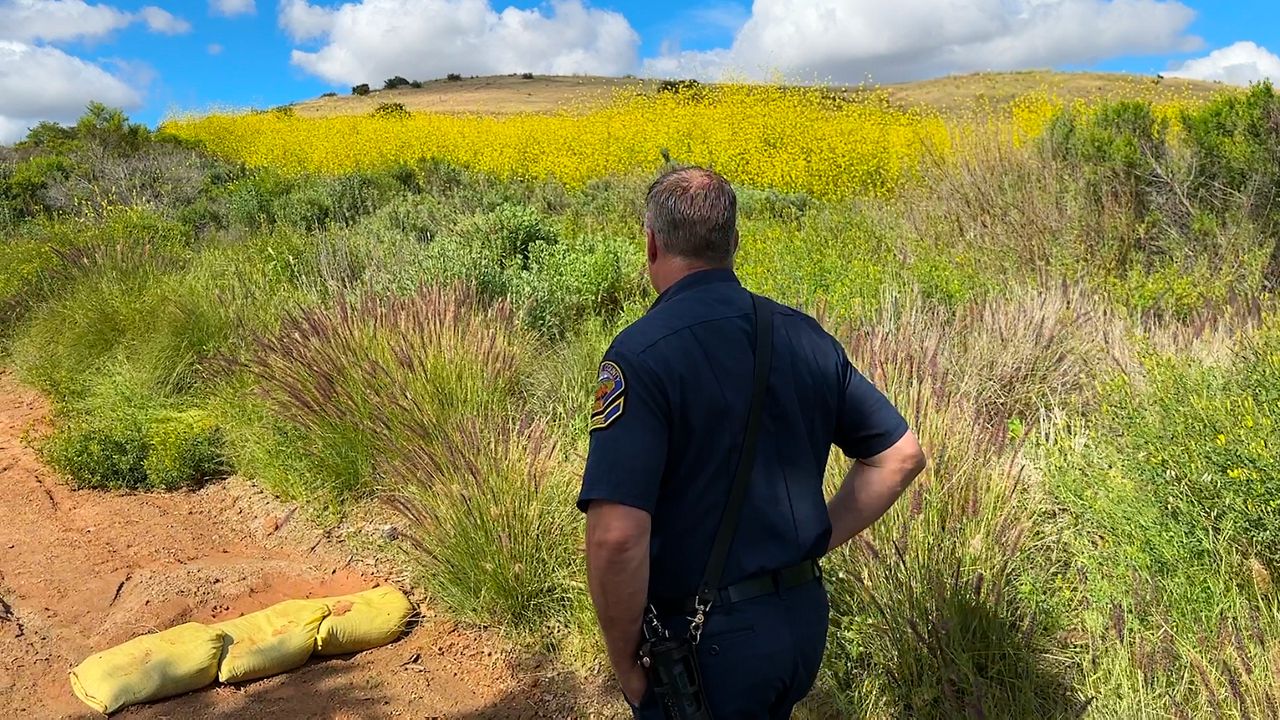 A new tech approach to wildfire preparedness