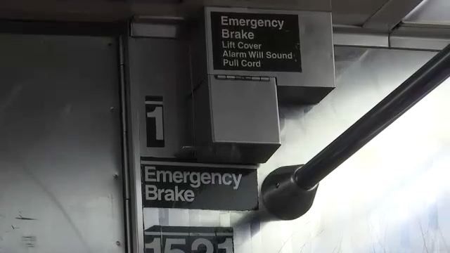 A Lesson on When to Pull the Emergency Brake, Courtesy of the Woman Who ...
