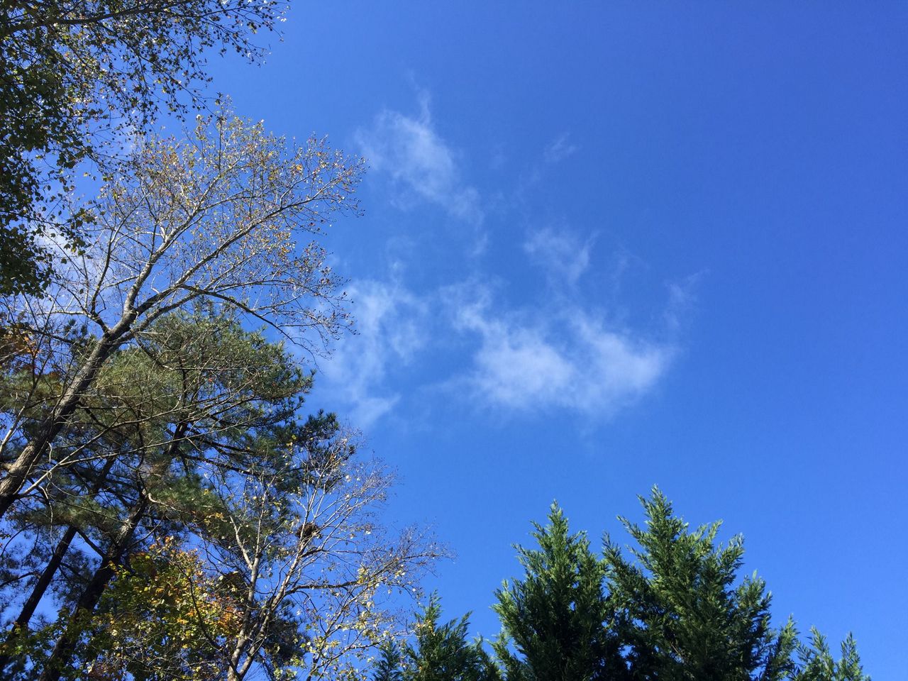More sun in the forecast
