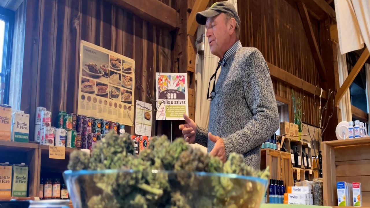 Cannabis now a 'growing' process for farmers across NYS