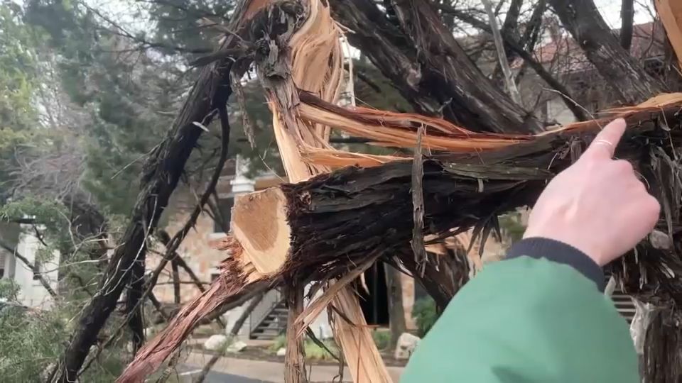 Crews work around the clock to clear downed trees in Austin
