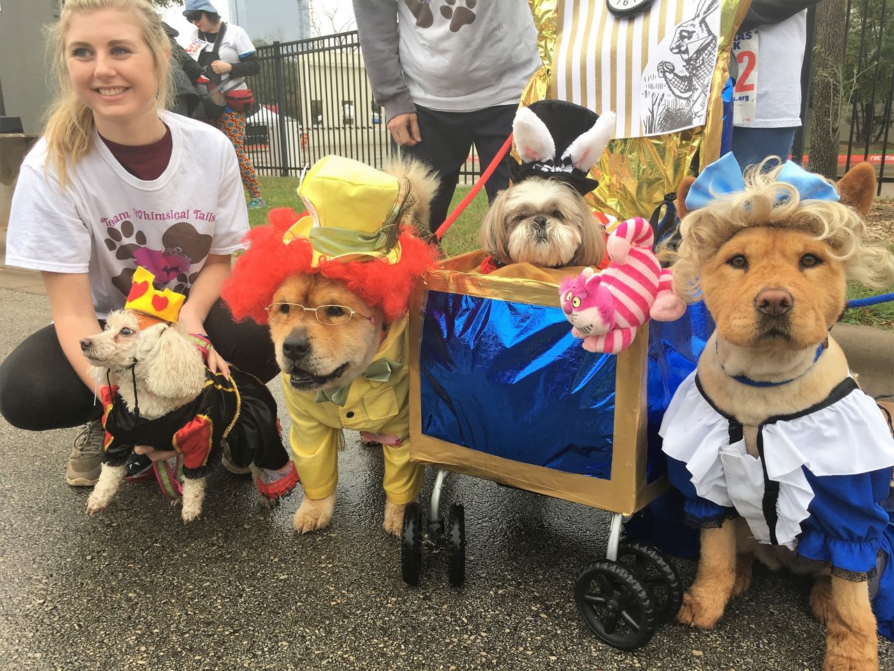 Austin Dog Owners to Attempt Guinness World Record