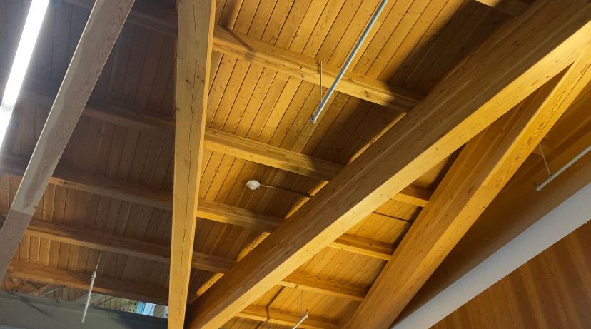 Expert suggests mass timber for CNY Micron plant