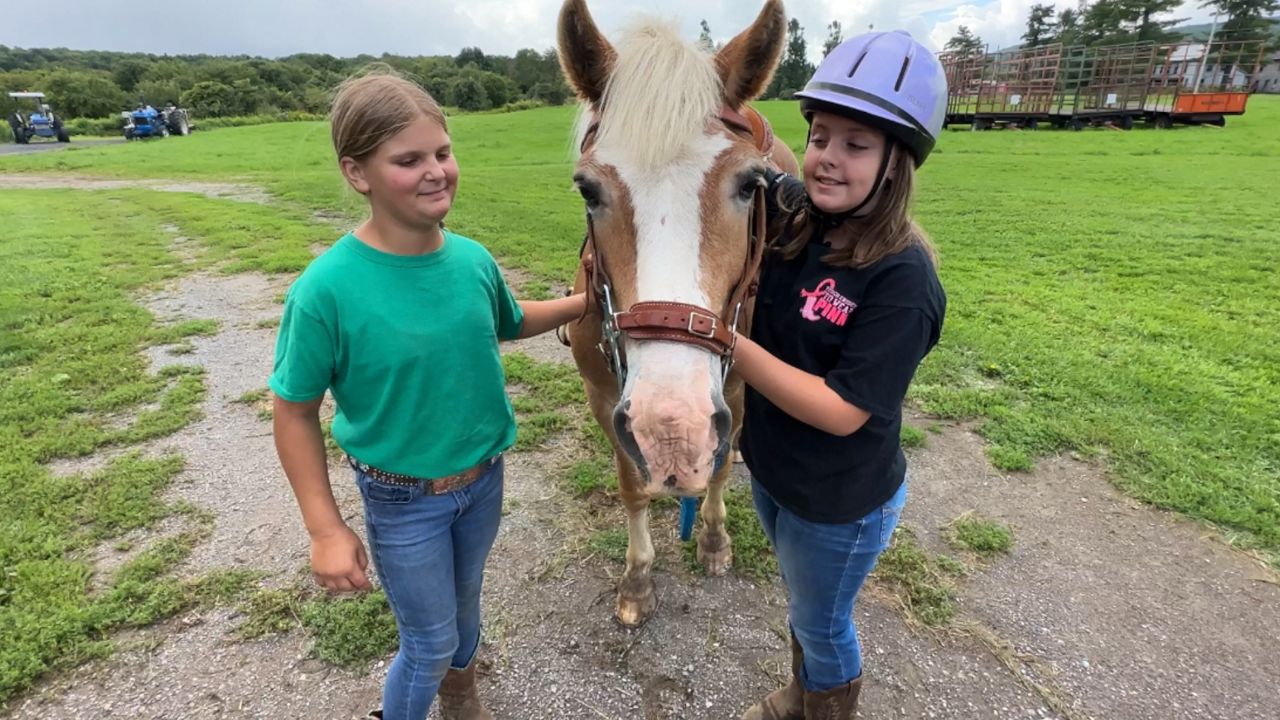 4-H groups from across the state will compete at fair