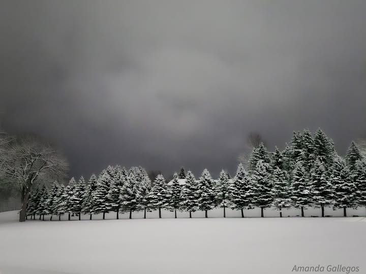 Photos: Wisconsin winter storm leaves fresh blanket of snow