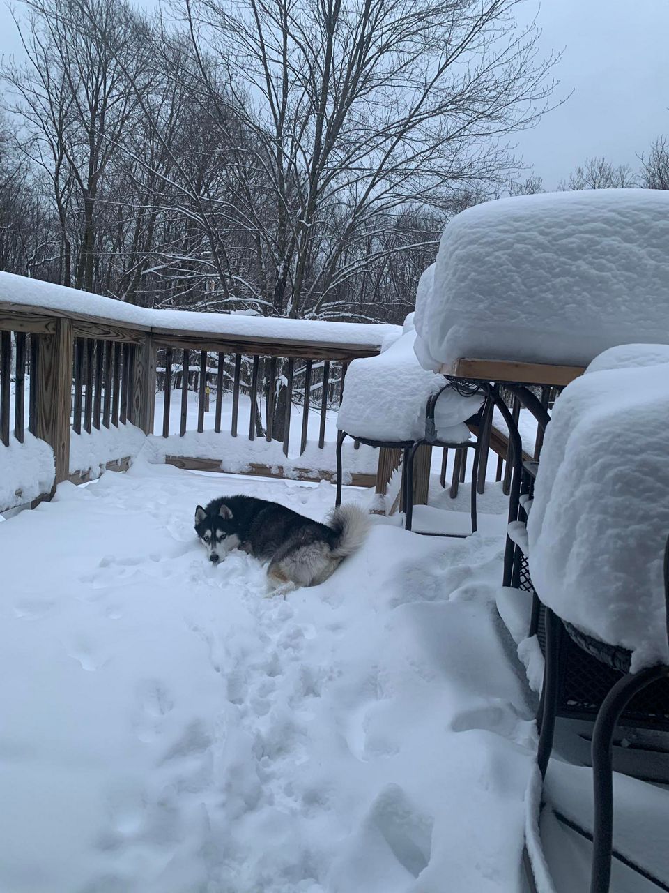 Photos: Wisconsin winter storm leaves fresh blanket of snow