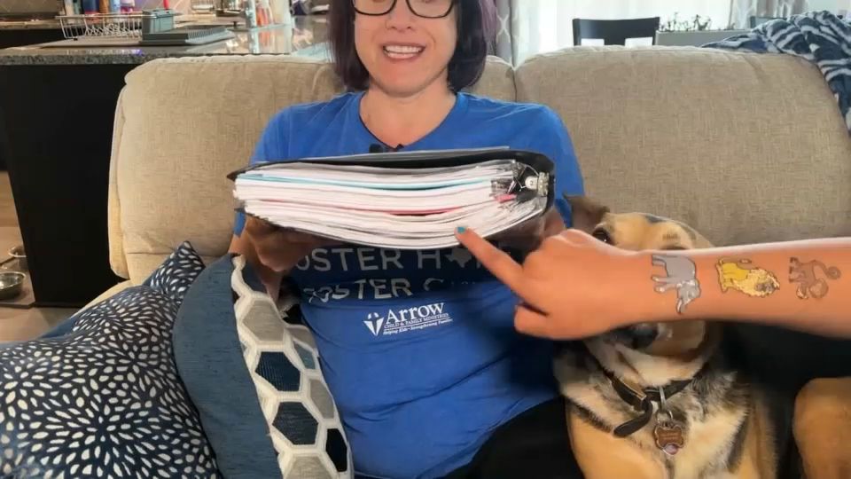 App helps foster parents cut down on mountain of paperwork