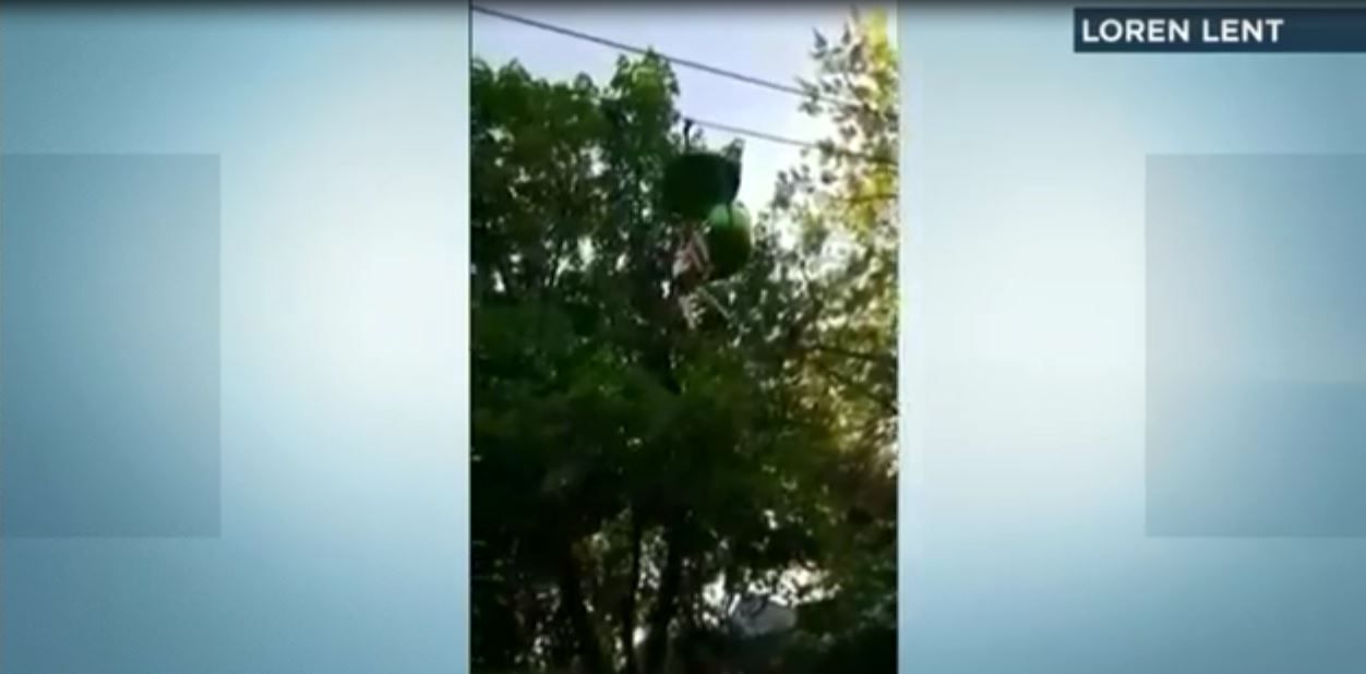 Crowd catches teen falling from NY park ride