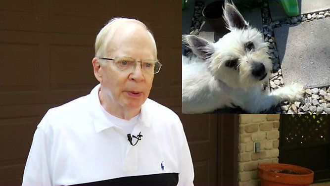 Olaf investigation continues as owner remains hopeful