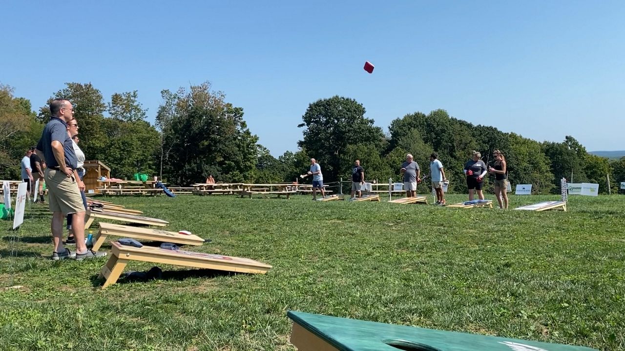 Cornhole tournament raises money for local food pantries