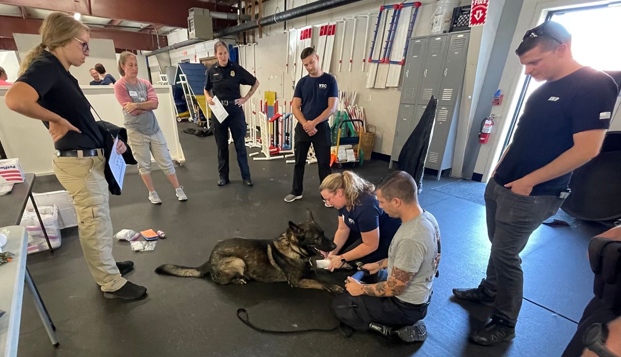 First responders learn how to care for injured K-9s
