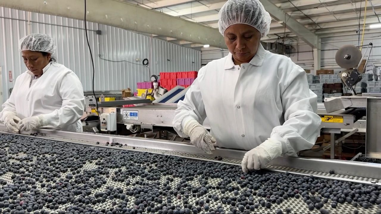 Crops deal with heat