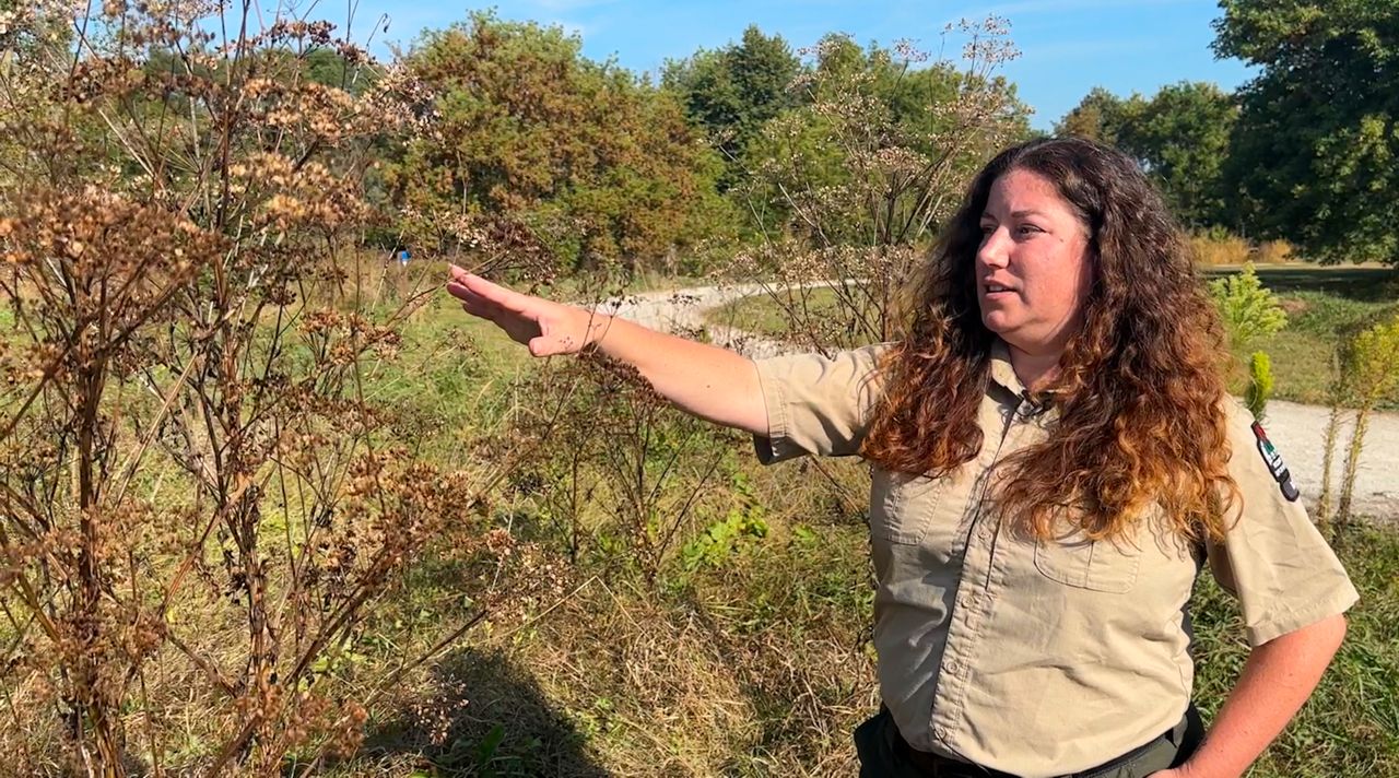 Havenwoods State Forest restoration in planning stages