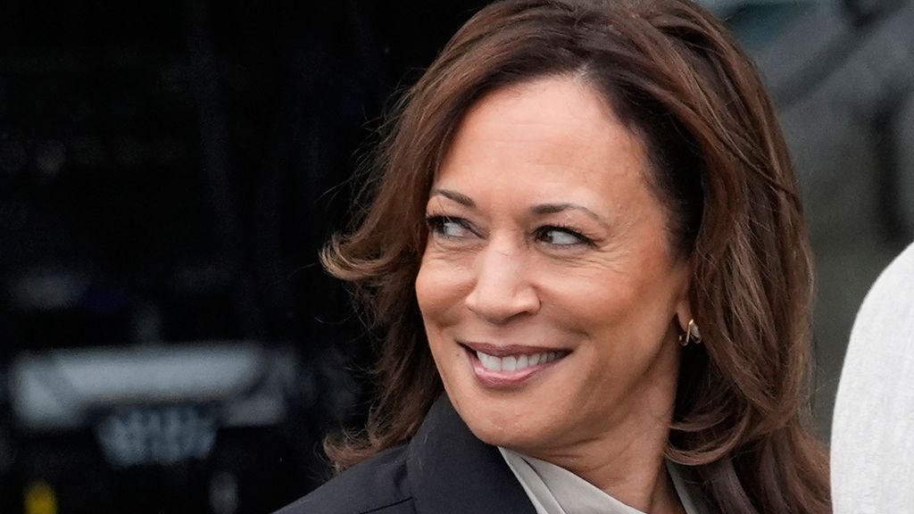 NY Democrats react to potentially historic Harris run