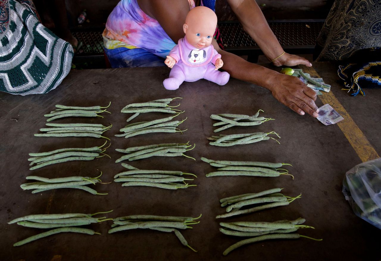 Papua New Guinea's betel high defies control, convention