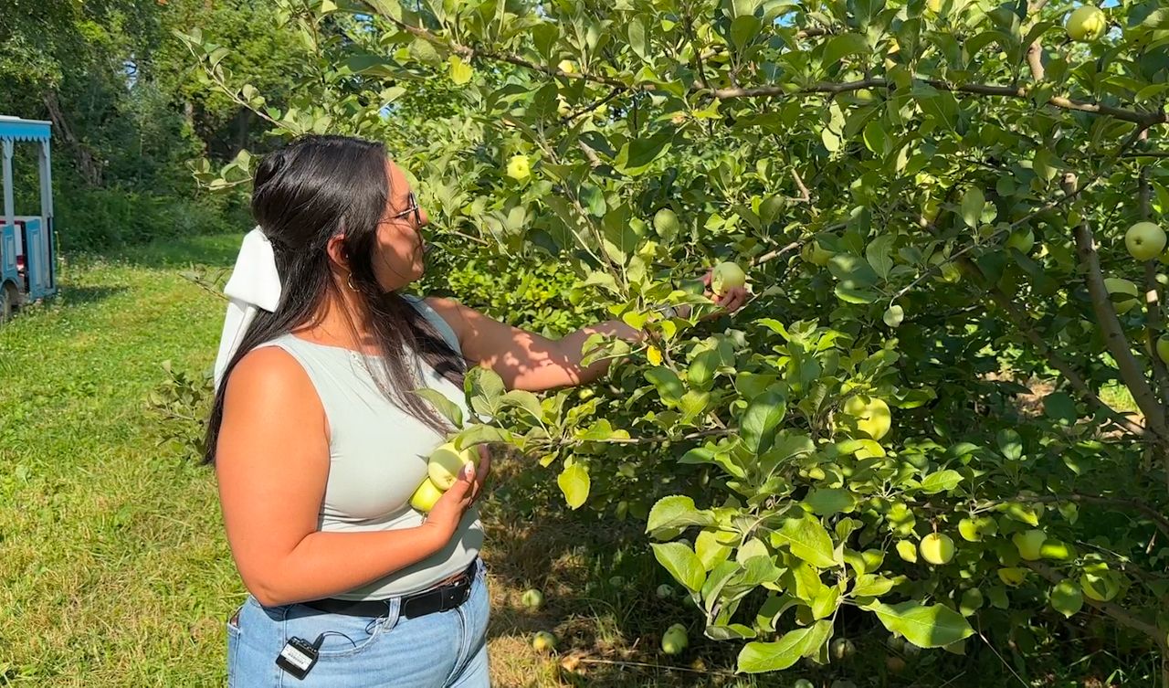 Apple picking season off to an earlier start in Wisconsin
