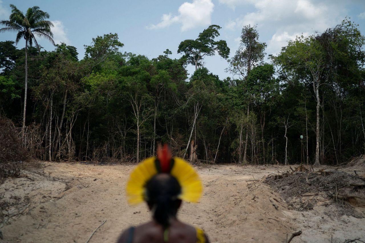 Indigenous leader in Brazil's Amazon tries to thwart loggers