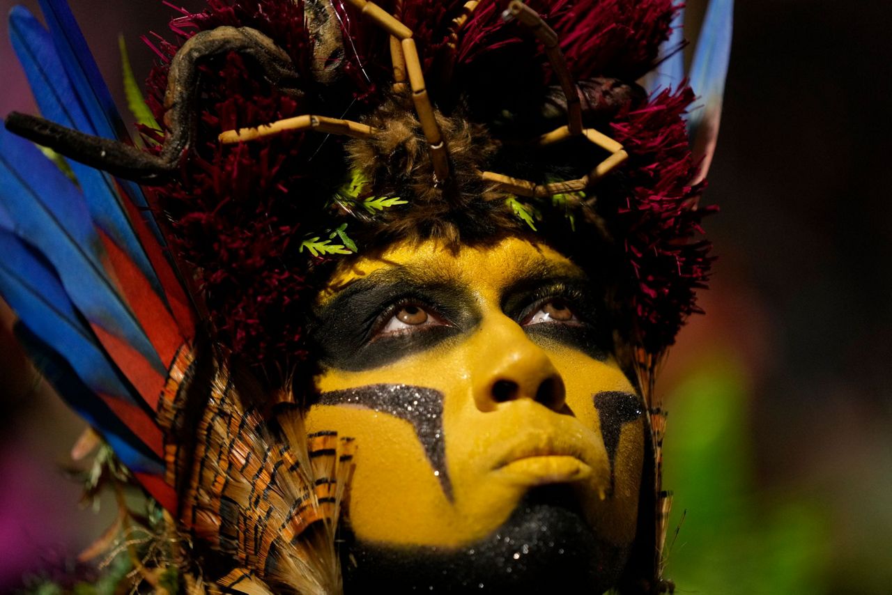 Rio's Carnival parade makes urgent plea to stop illegal mining in ...