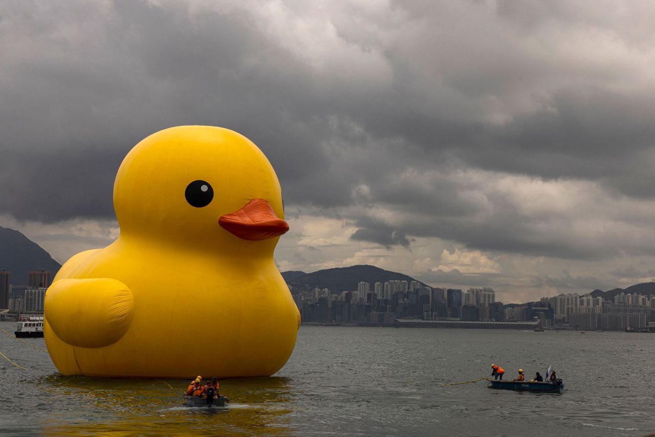 Giant inflatable ducks make a splash in Hong Kong as pop-art project ...