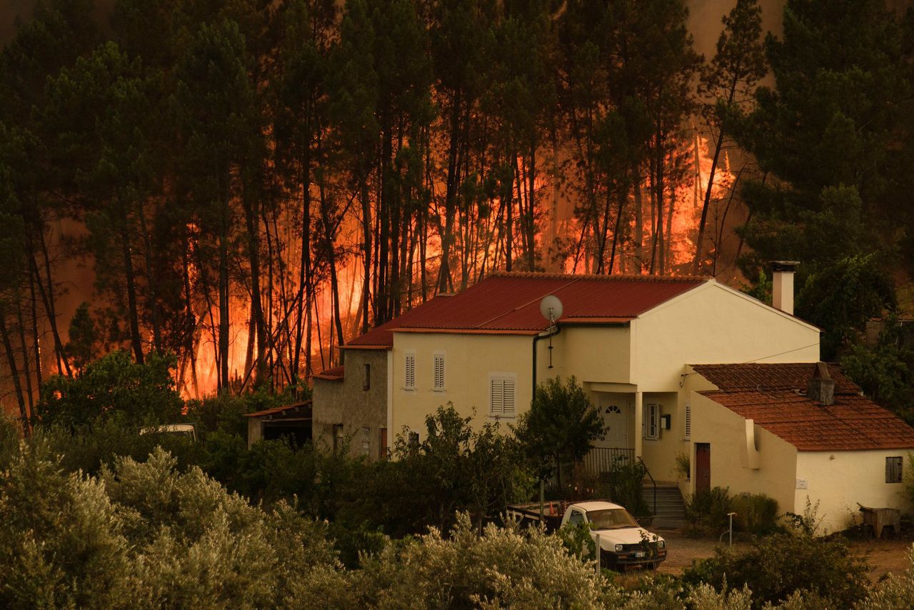 Firefighters battle wildfire in Portugal, 31 people hurt