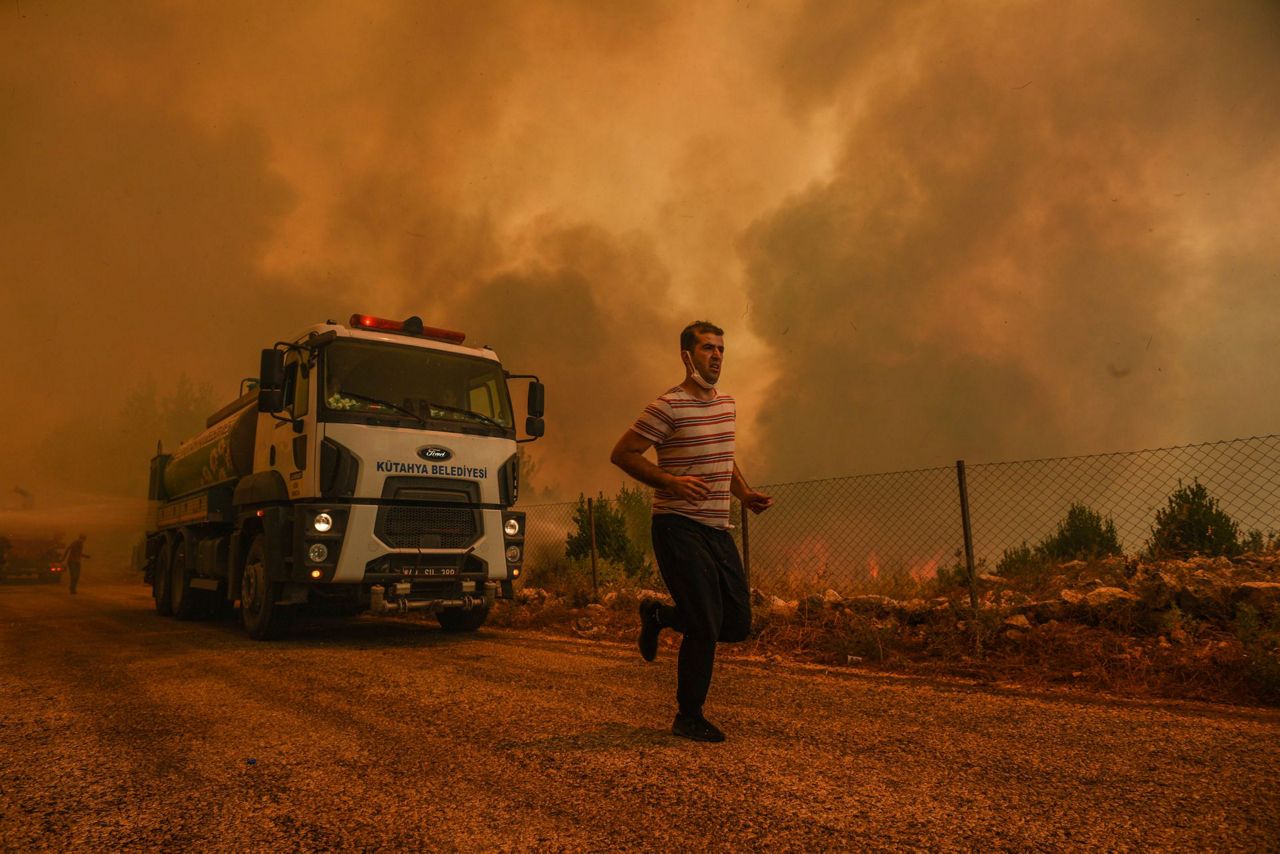 Majority of Turkey wildfires under control, official says