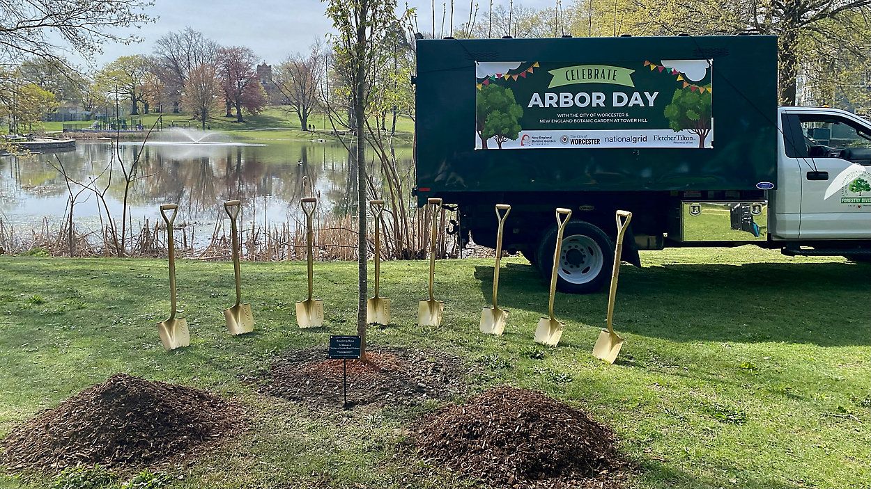 Worcester celebrates Arbor Day with ceremony