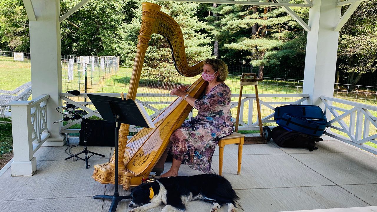 Akron Symphony Orchestra Asks for the Public's Suggestions