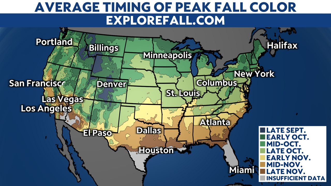 2024 Fall Foliage Outlook