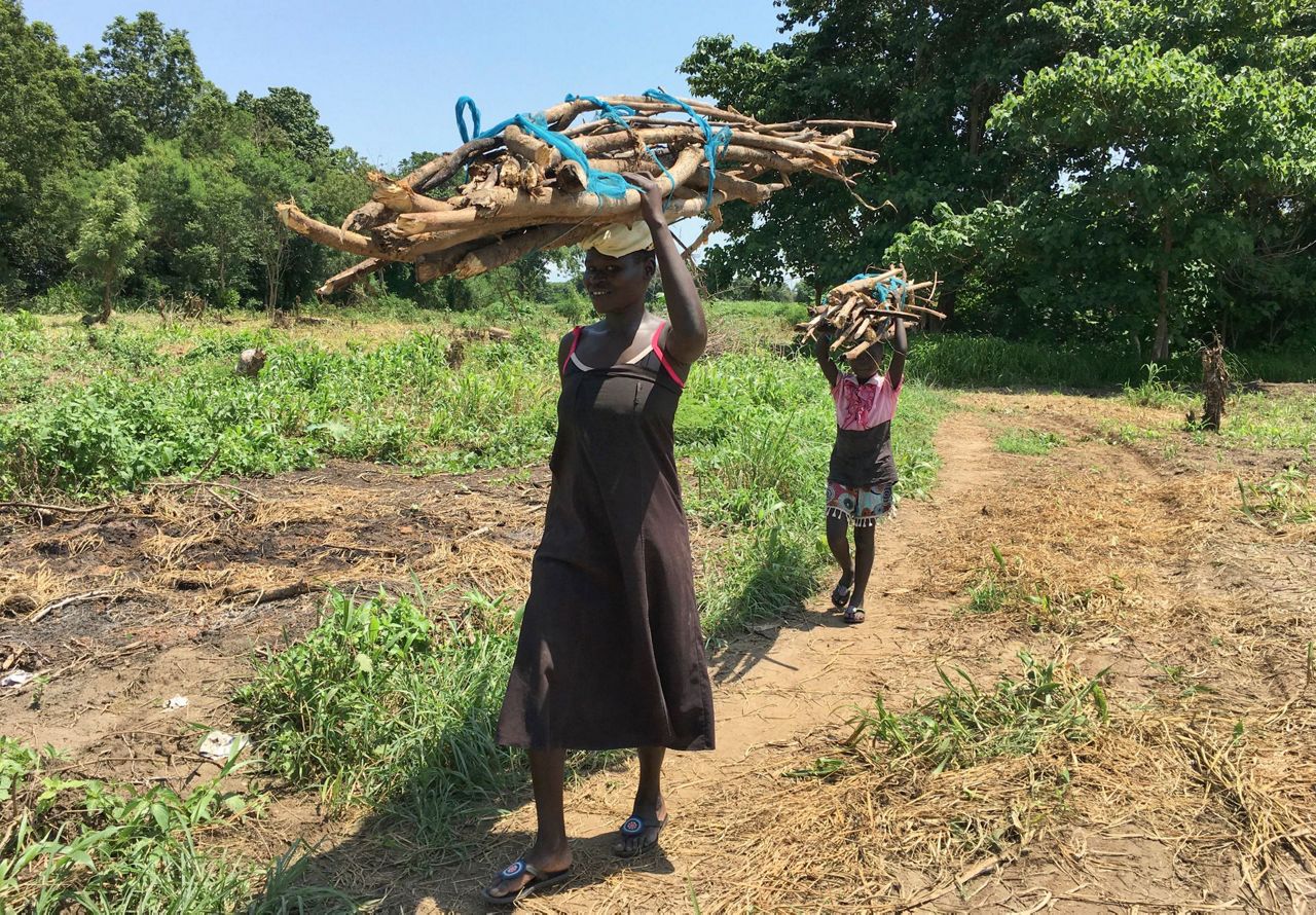 Africa's charcoal trade is decimating fragile forest cover