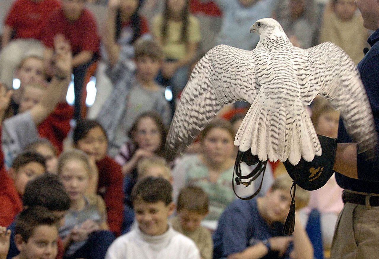 Prognosis unclear for falcon mascot hurt in West Point prank