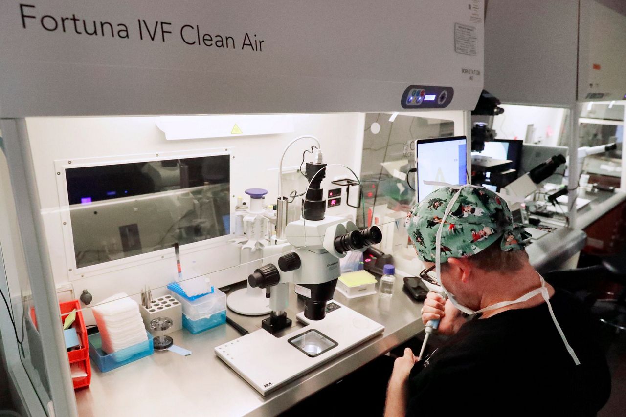 Alabama clinic resumes IVF treatments under new law shielding providers ...