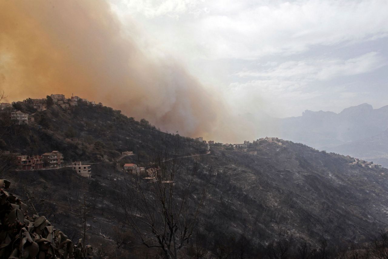 Death toll up to 65 in Algeria wildfires; nation to mourn