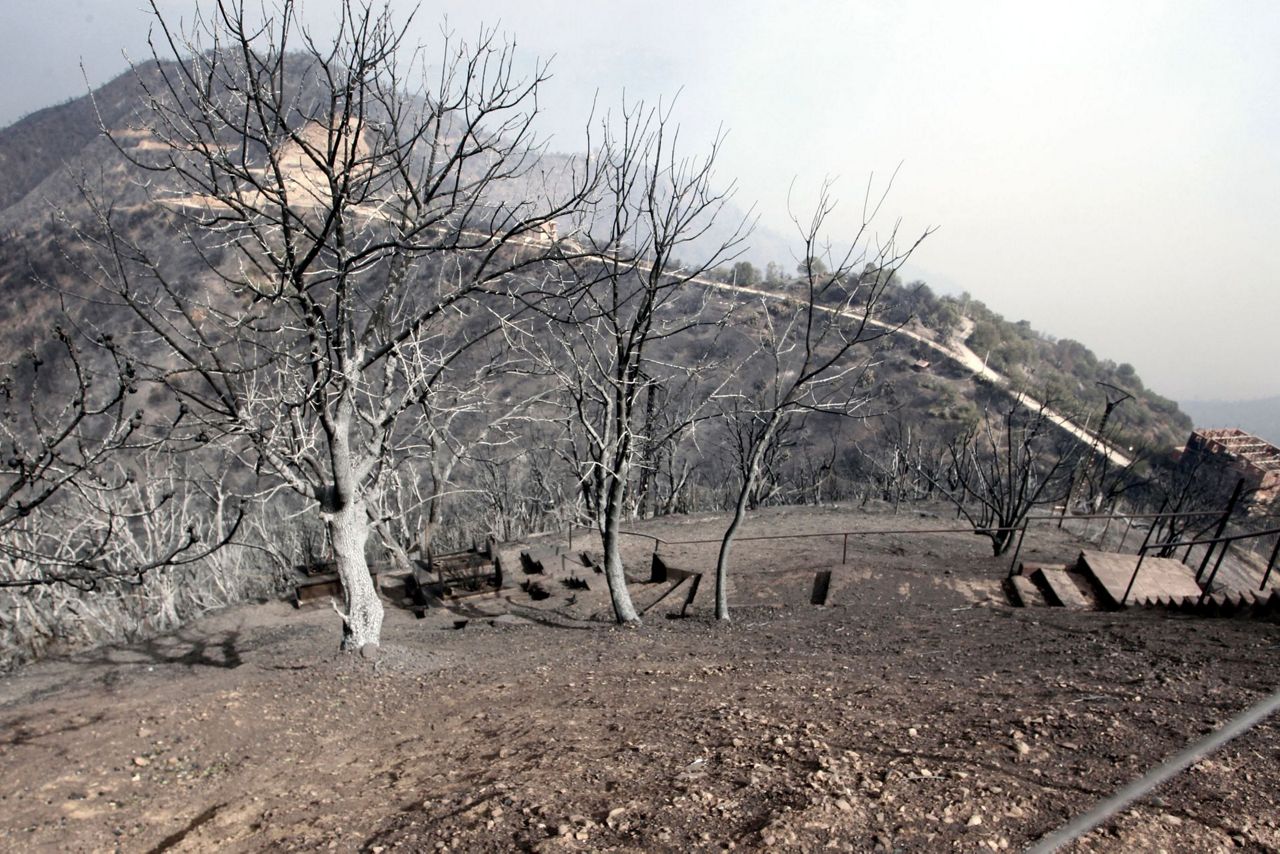 Dozens of deadly fires devour Algeria's northern forests