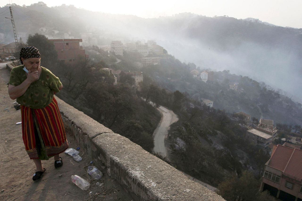Death toll up to 65 in Algeria wildfires; nation to mourn