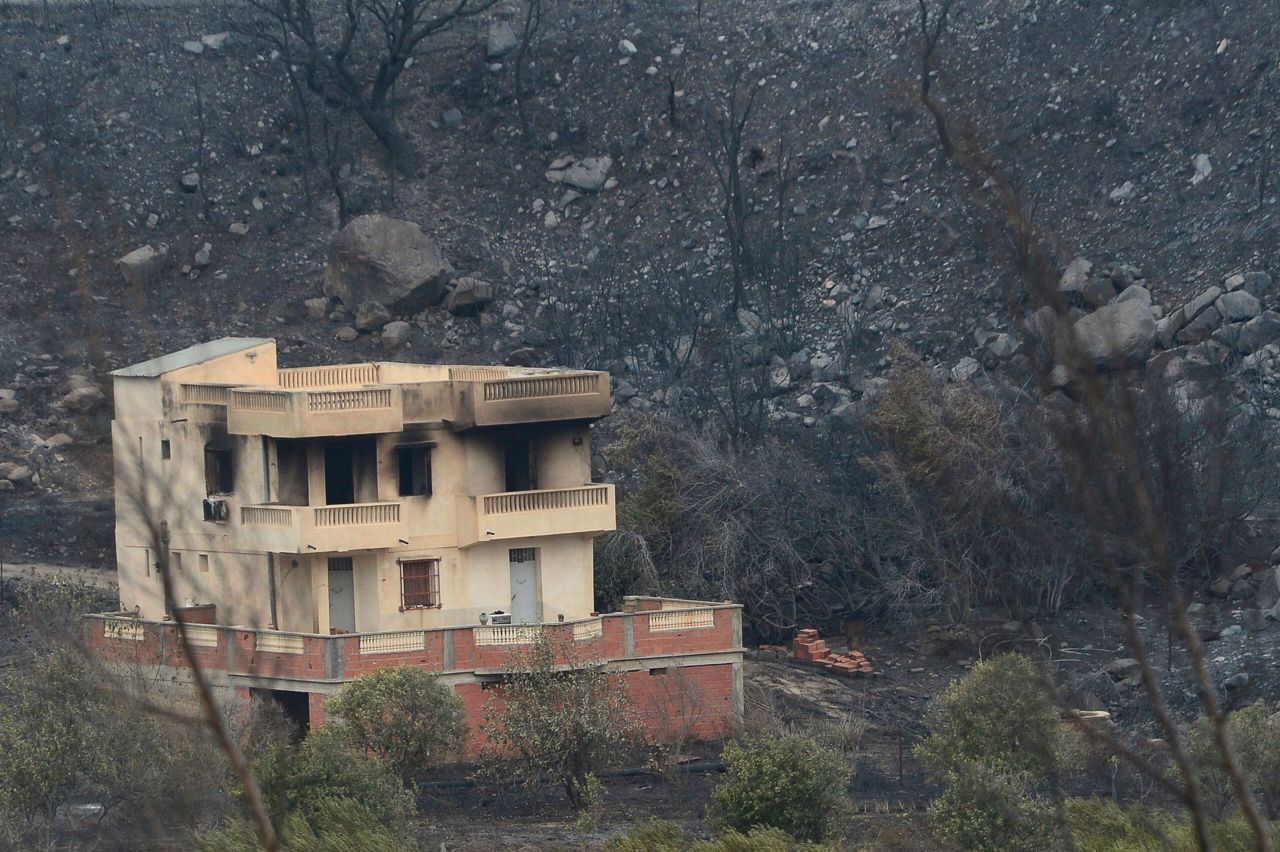 Wildfires in Algeria leave at least 34 people dead and hundreds injured
