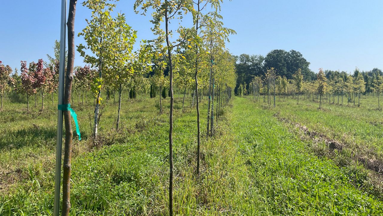 Hadley farm having steady year after weather damage in 2023
