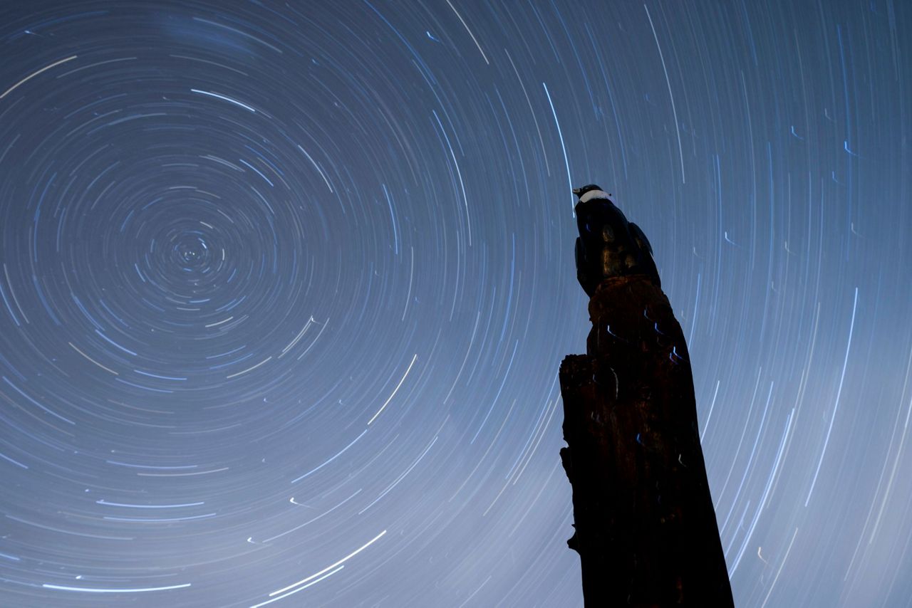 Worries over wind farms cloud condor repopulation program