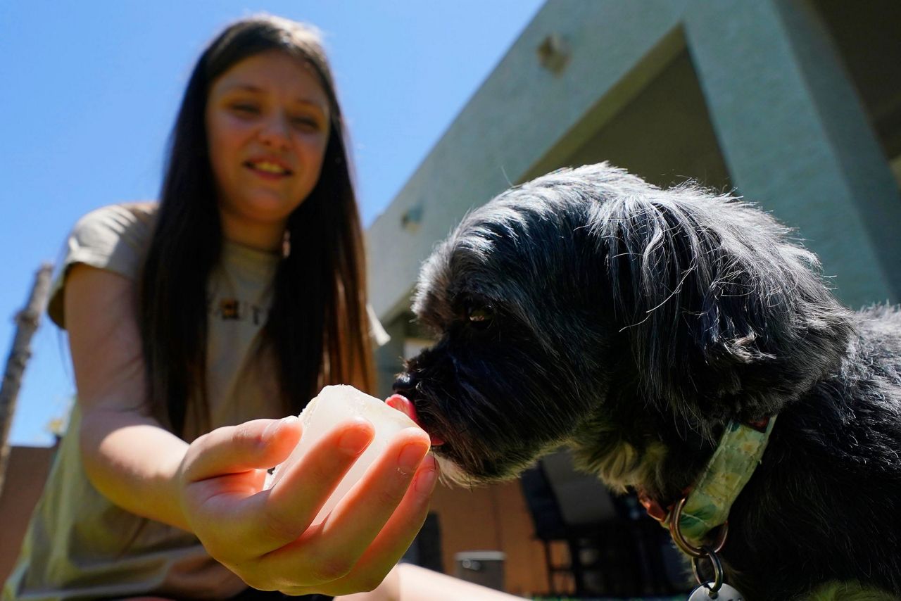 Phoenix's long simmering heat poised to break records for relentless ...