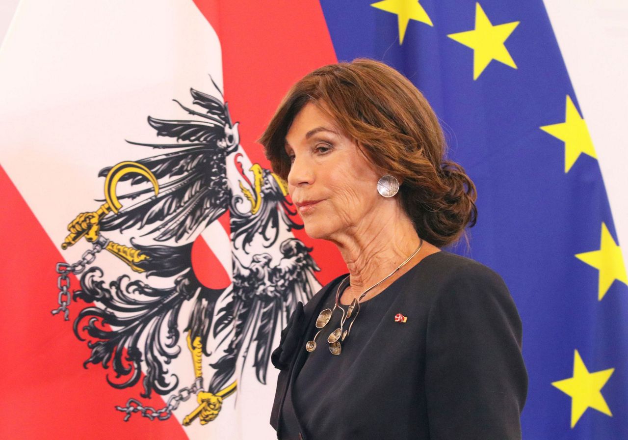 New Austrian chancellor sworn in with interim government
