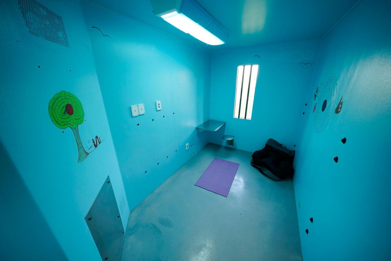 Prisoners with developmental disabilities face unique challenges. One ...