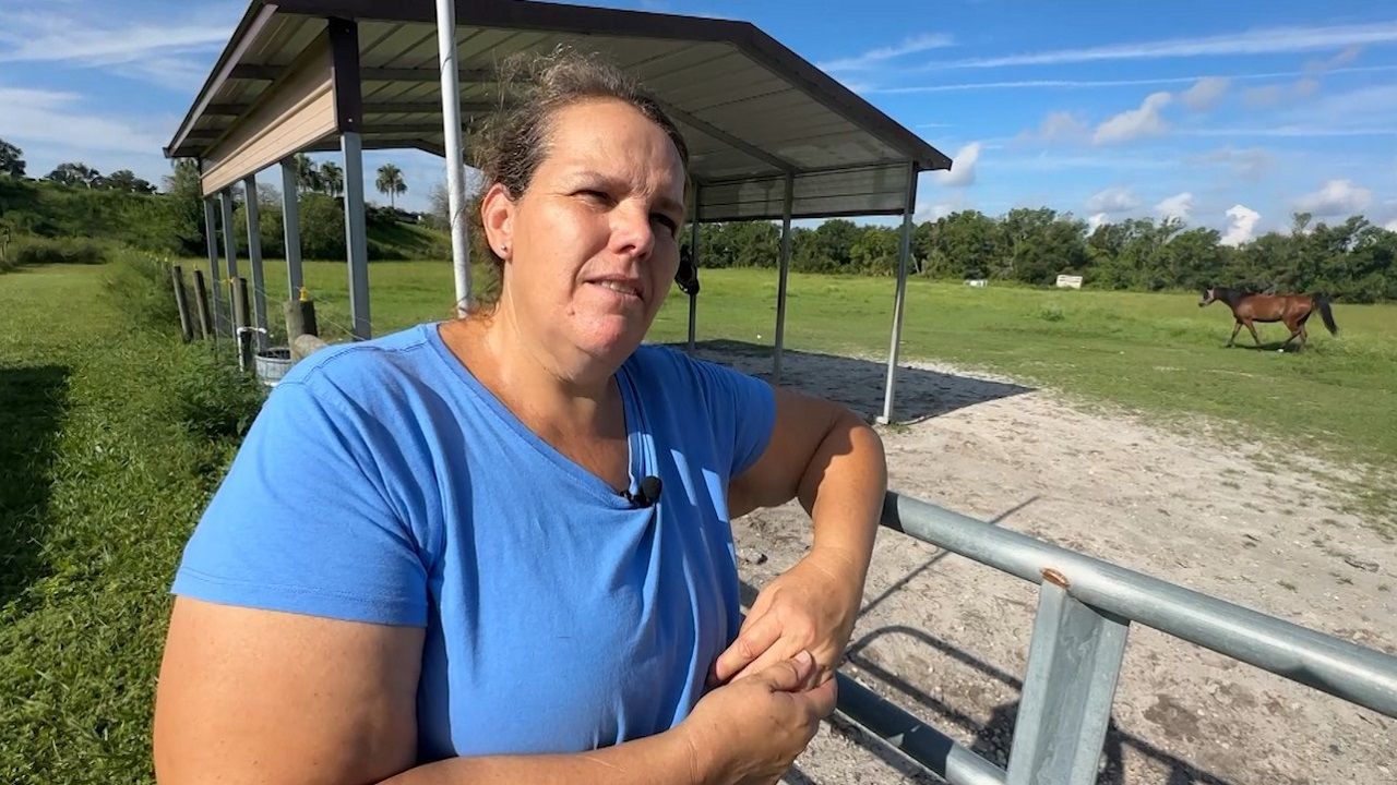 Lakeland Woman Rescues Hundreds of Horses from Slaughterhouses Through ...