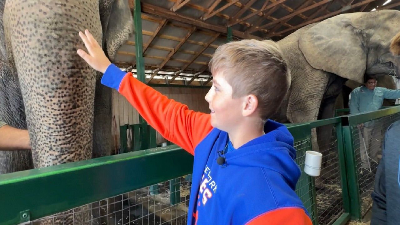 How Myakka Elephant Ranch keeps their elephants warm