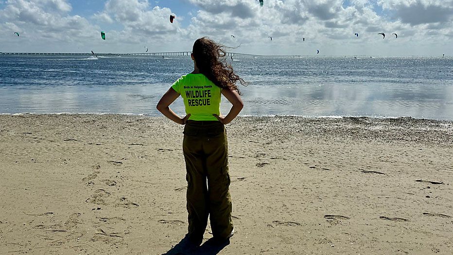 Peaches the flamingo scared away from Fort De Soto