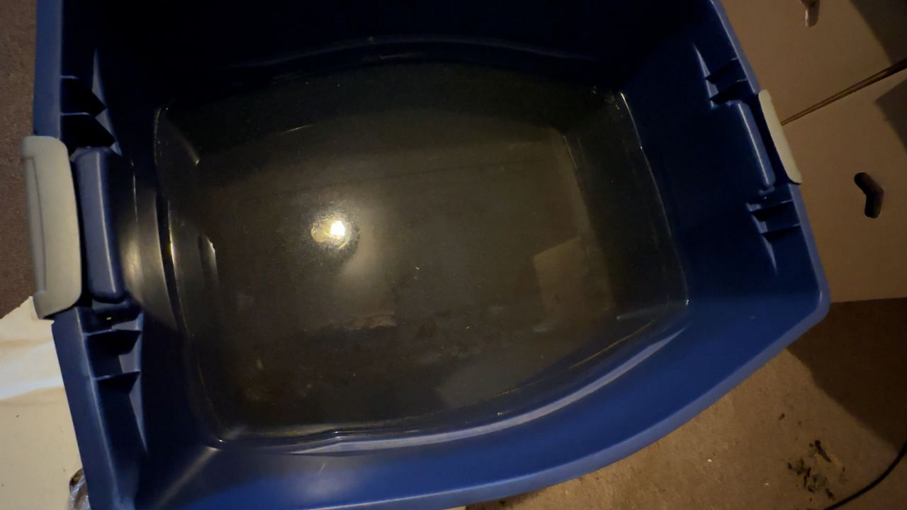 Milwaukee tenants speak out after lawsuits against landlord