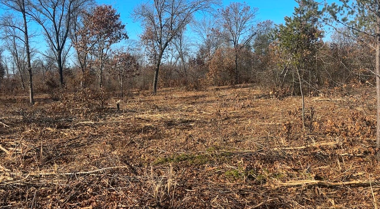 Preserving oak and pine barrens in Wisconsin