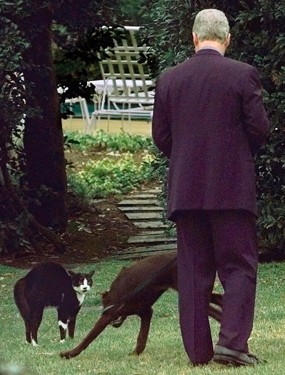 Willow Biden joins long and varied line of White House pets
