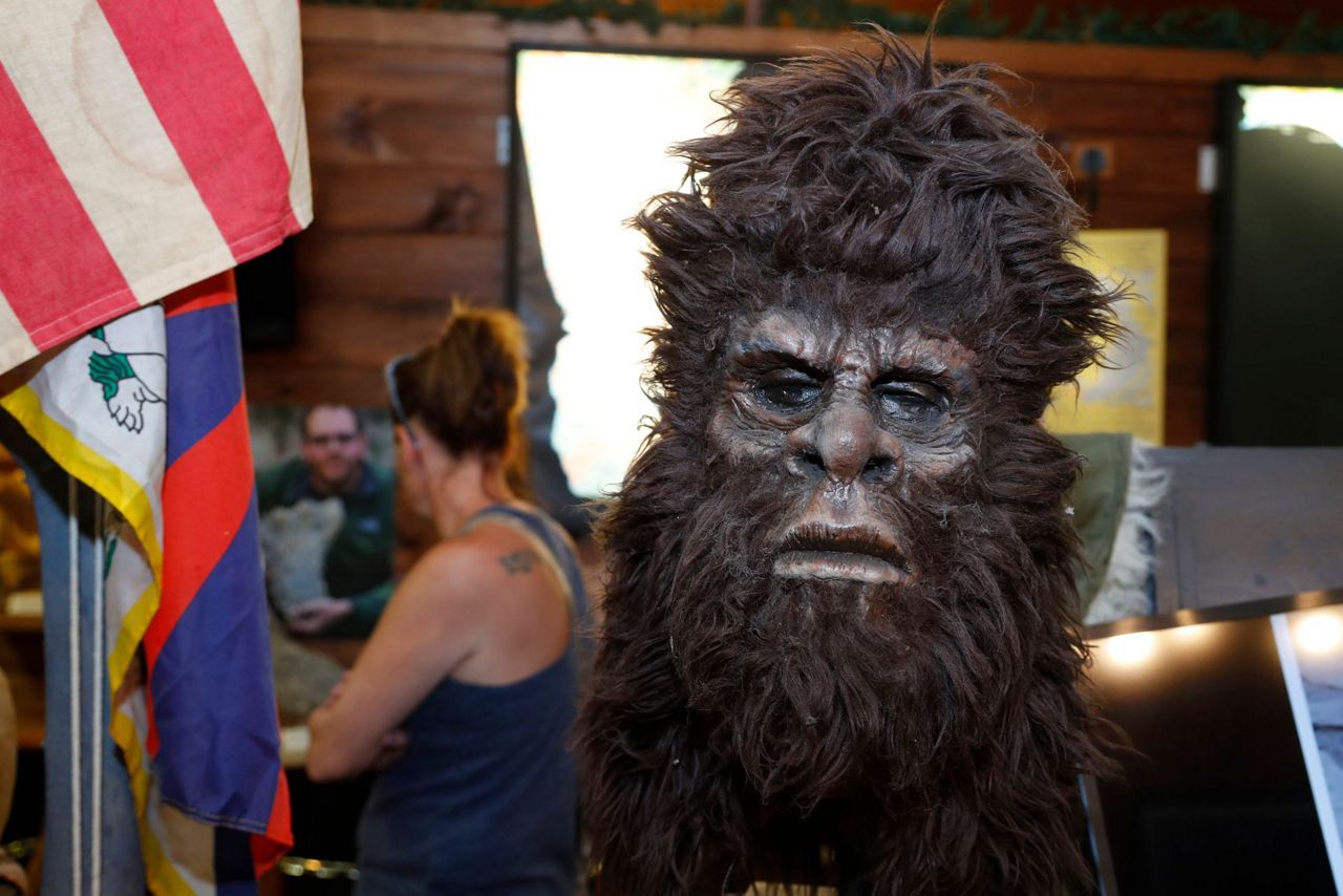 Roadside Bigfoot: Georgia museum devoted to legendary beast