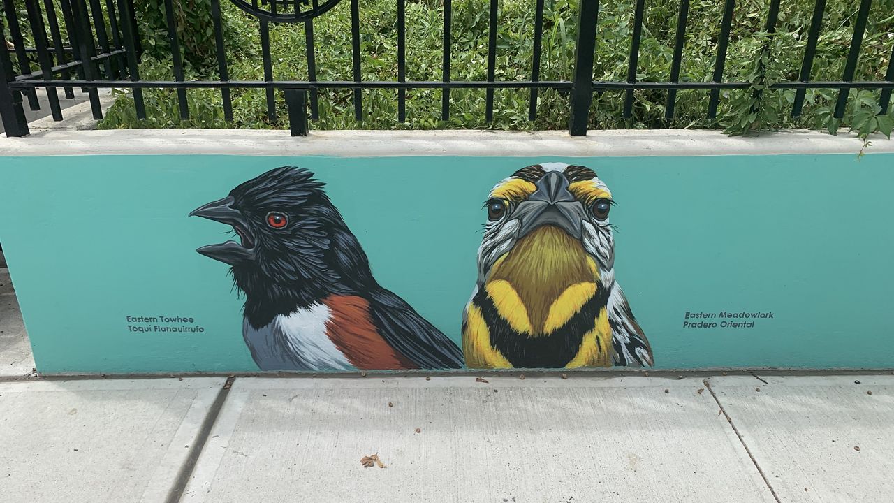 Mural sends message about climate change's impact on birds