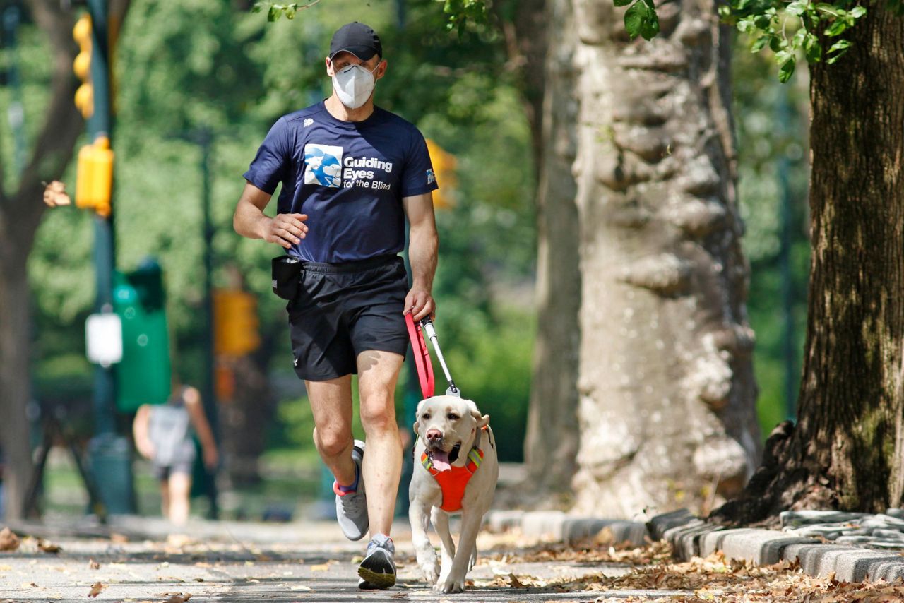 Guide dogs helping blind runners stay fit despite pandemic