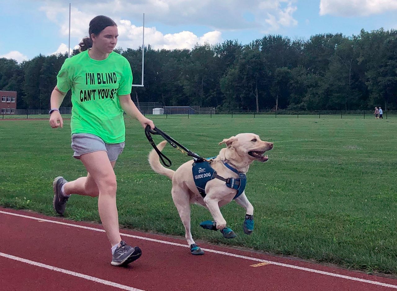 Guide dogs helping blind runners stay fit despite pandemic